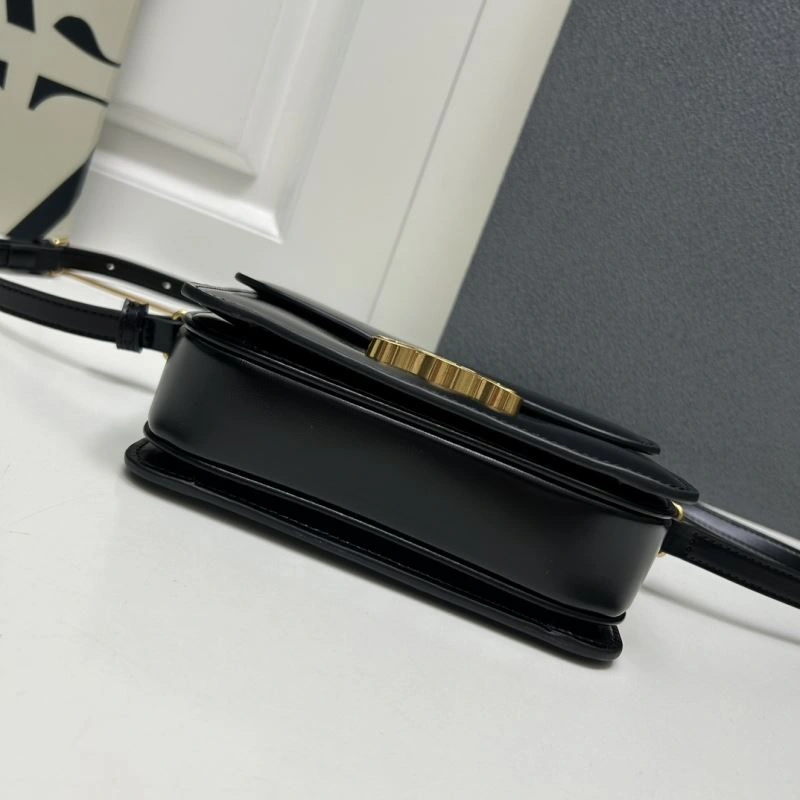 Brand-authenticated Celine Satchel Bags