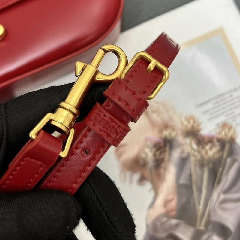 Value-priced Celine Satchel Bags