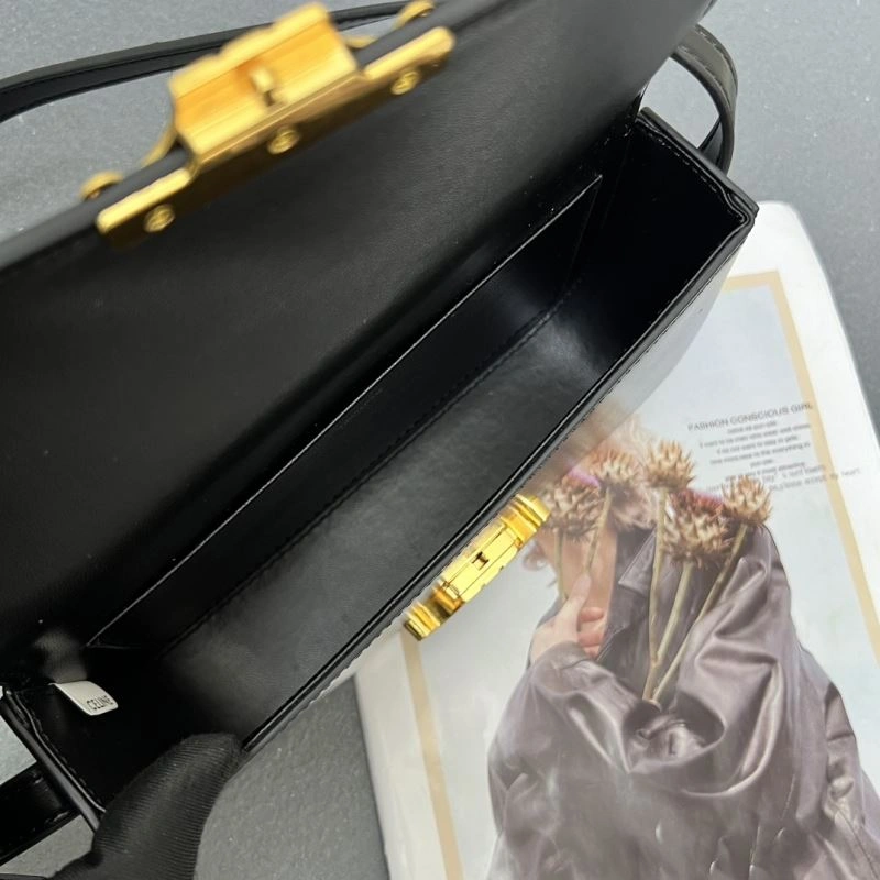 Value-priced Celine Satchel Bags