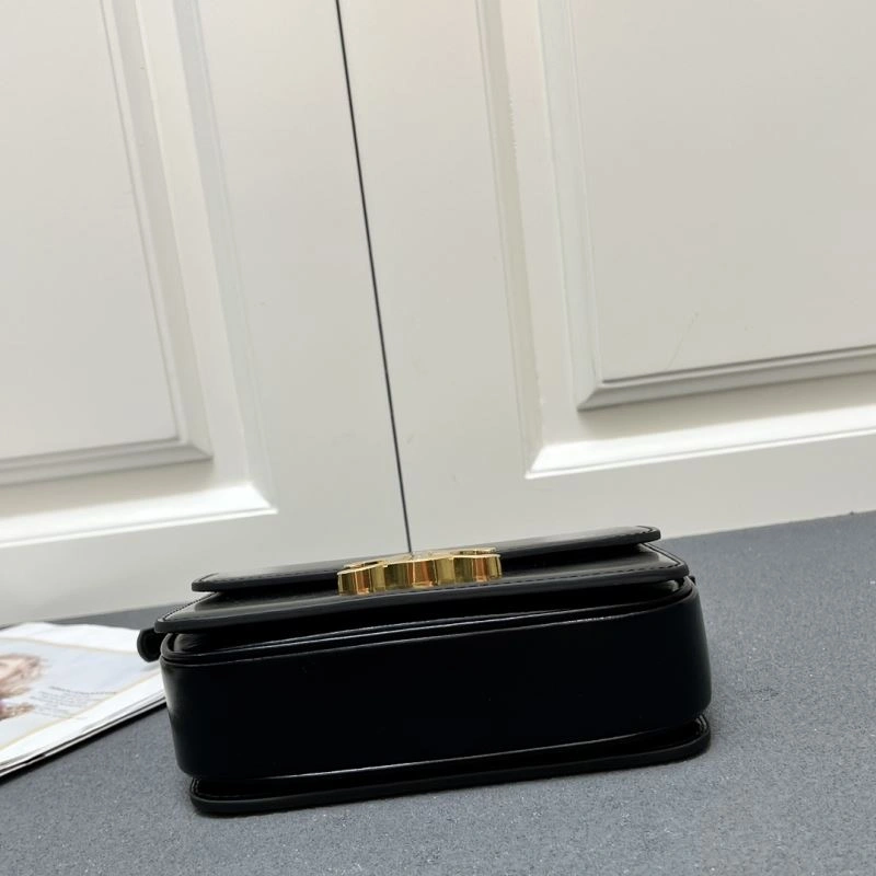 Budget-friendly Celine Satchel Bags