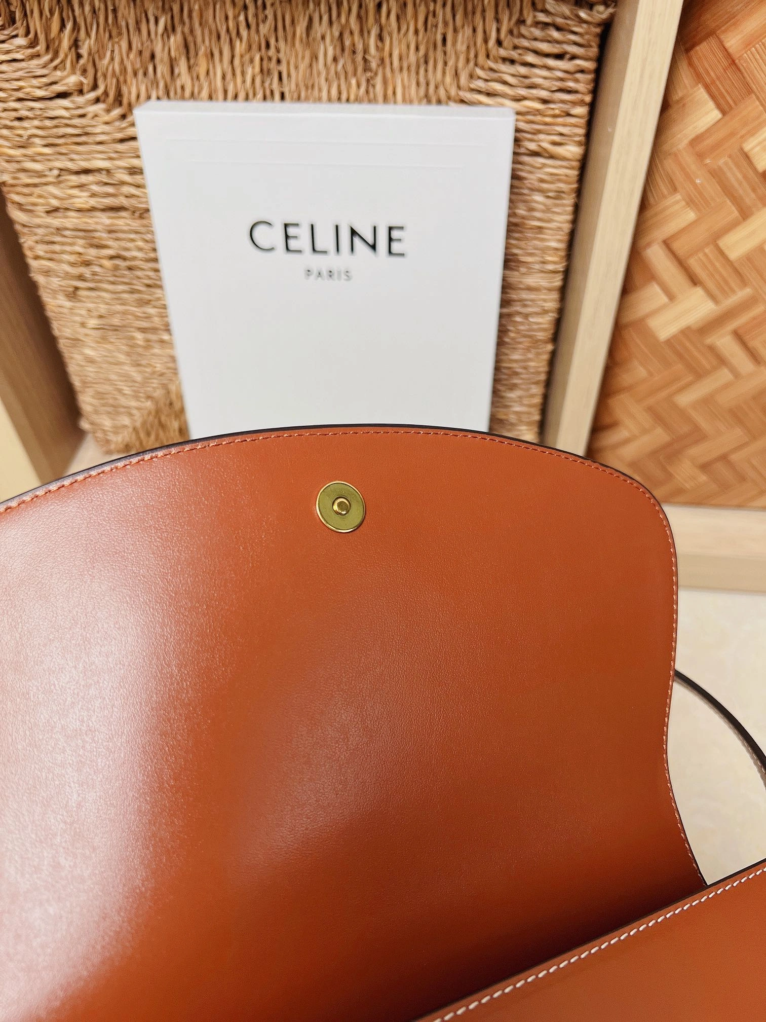 Budget-friendly Celine Satchel Bags