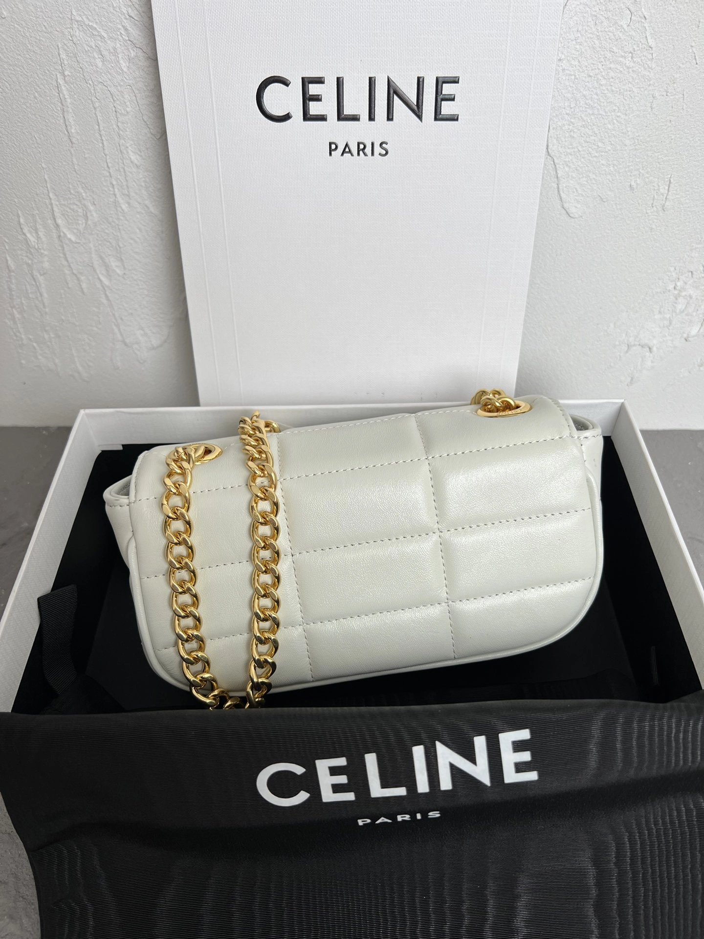 Reasonably priced Celine Satchel Bags