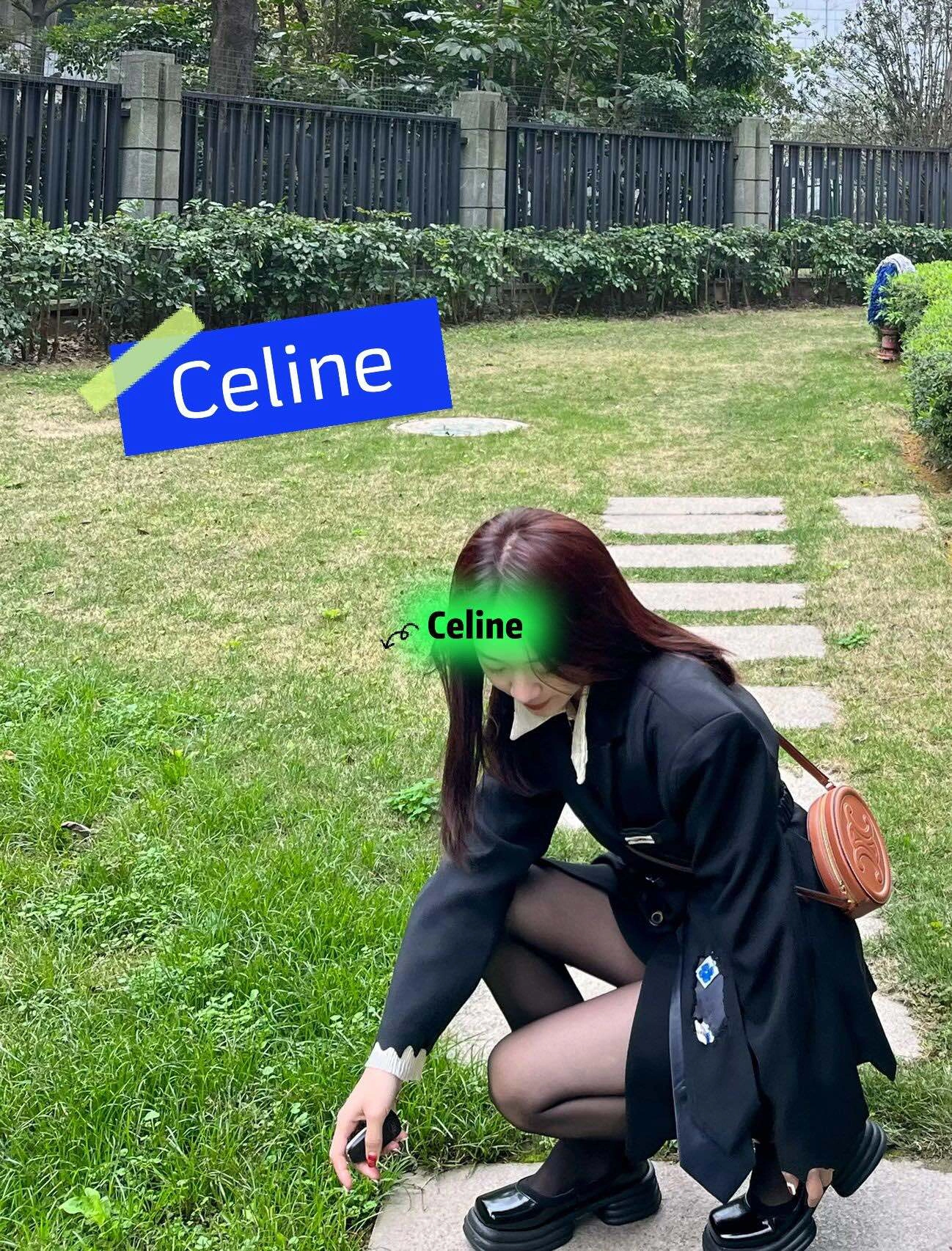 Perfect replica Celine Satchel Bags