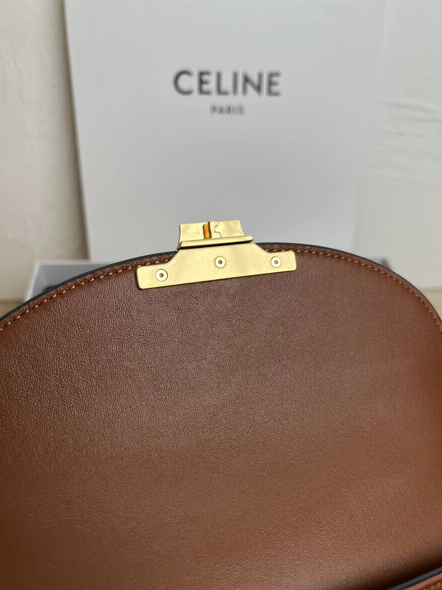 Authentic Celine Satchel Bags