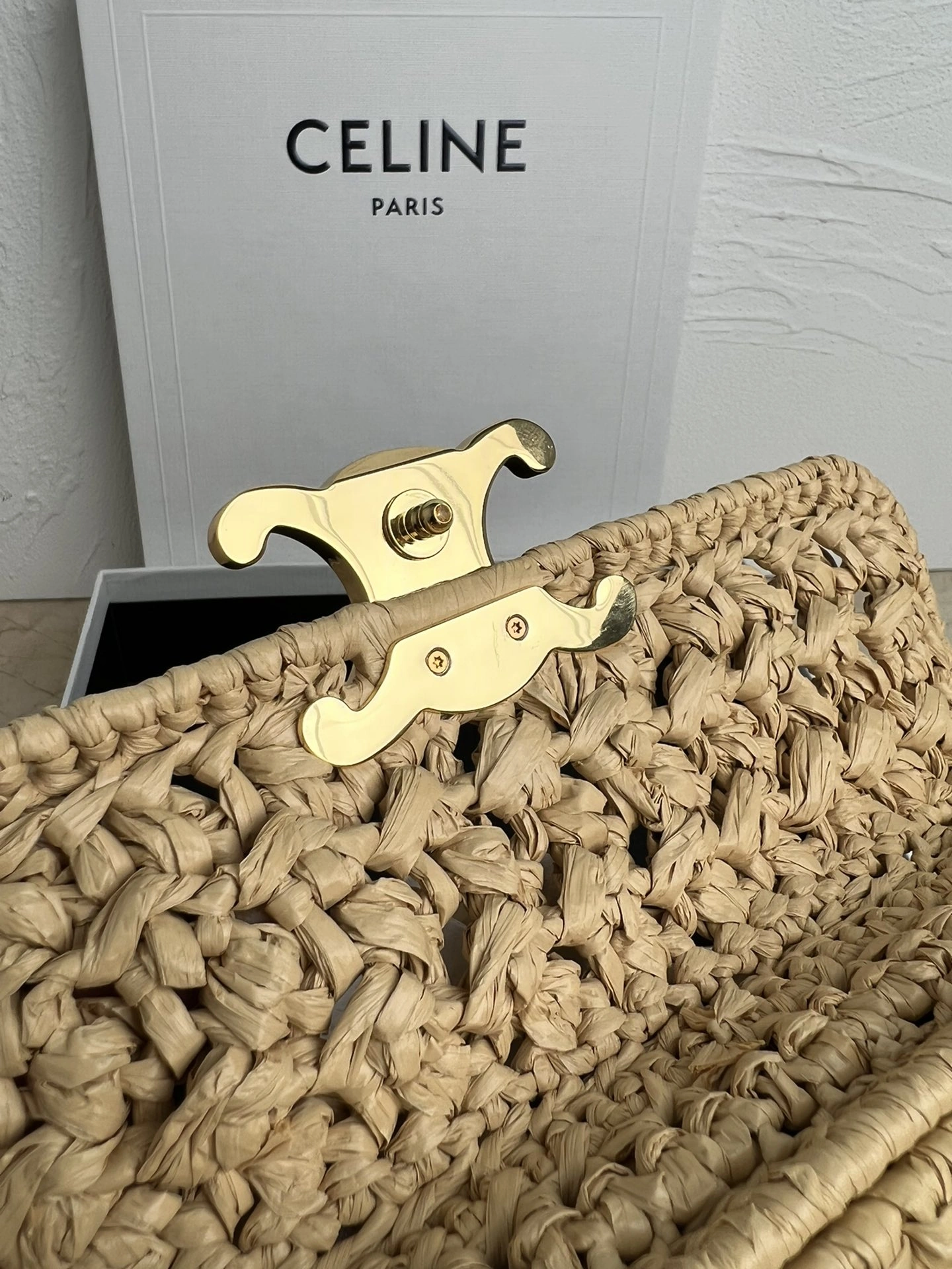 Reasonably priced Celine Satchel Bags