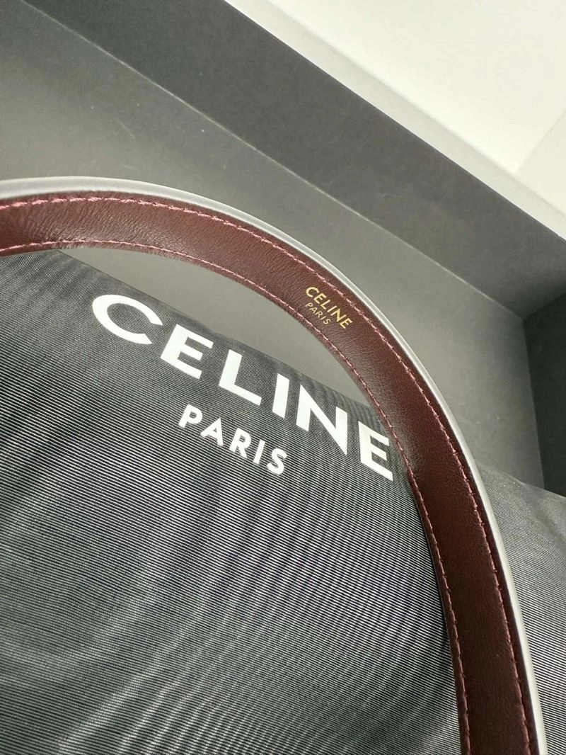 Top mirror Celine Satchel Bags