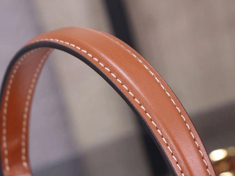 Cut-rate Celine Satchel Bags