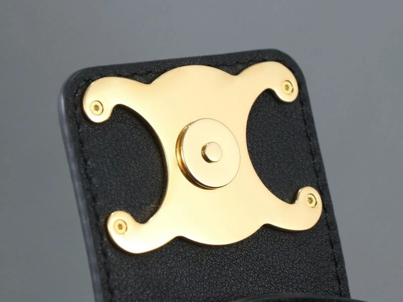 Factory-made Celine Satchel Bags