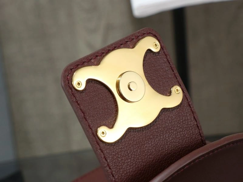 1:1 copy Celine Satchel Bags