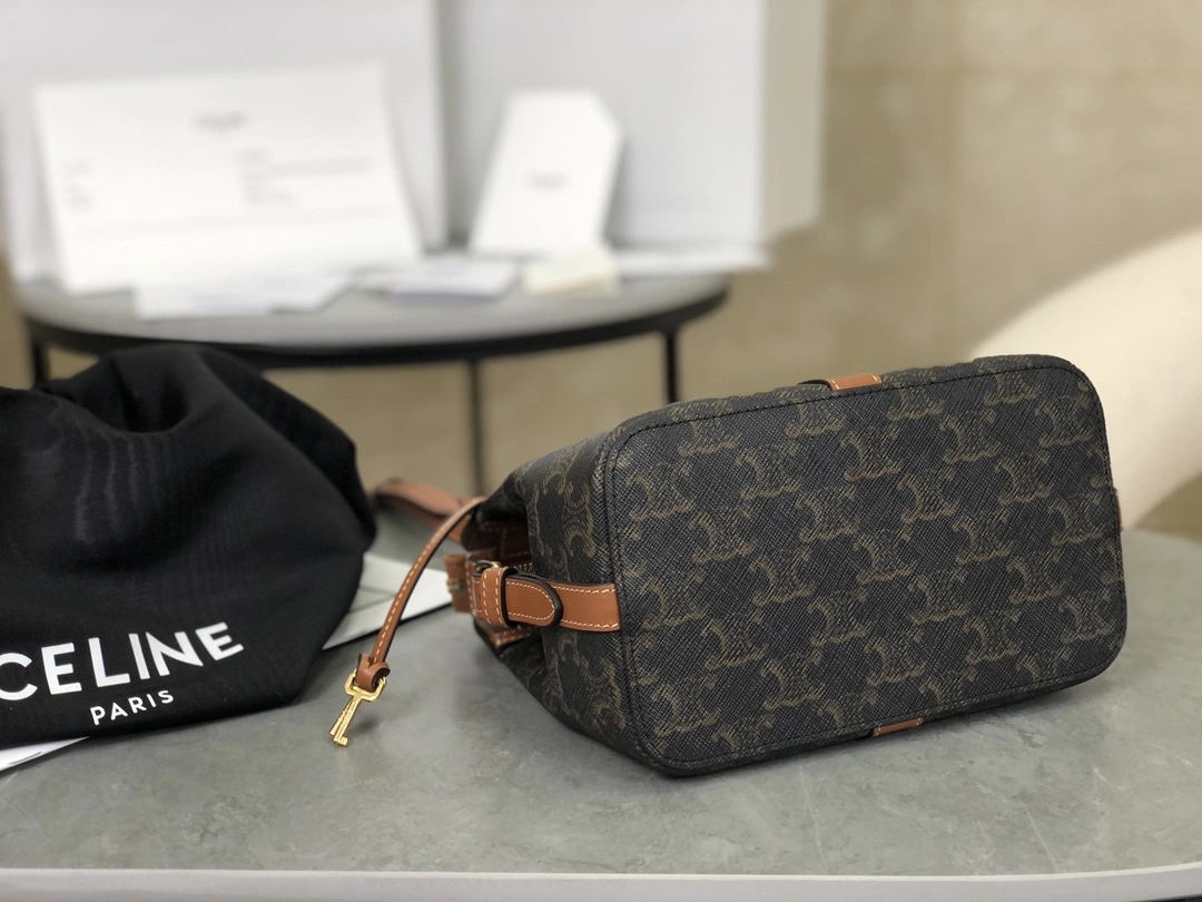 Reasonably priced Celine Satchel Bags
