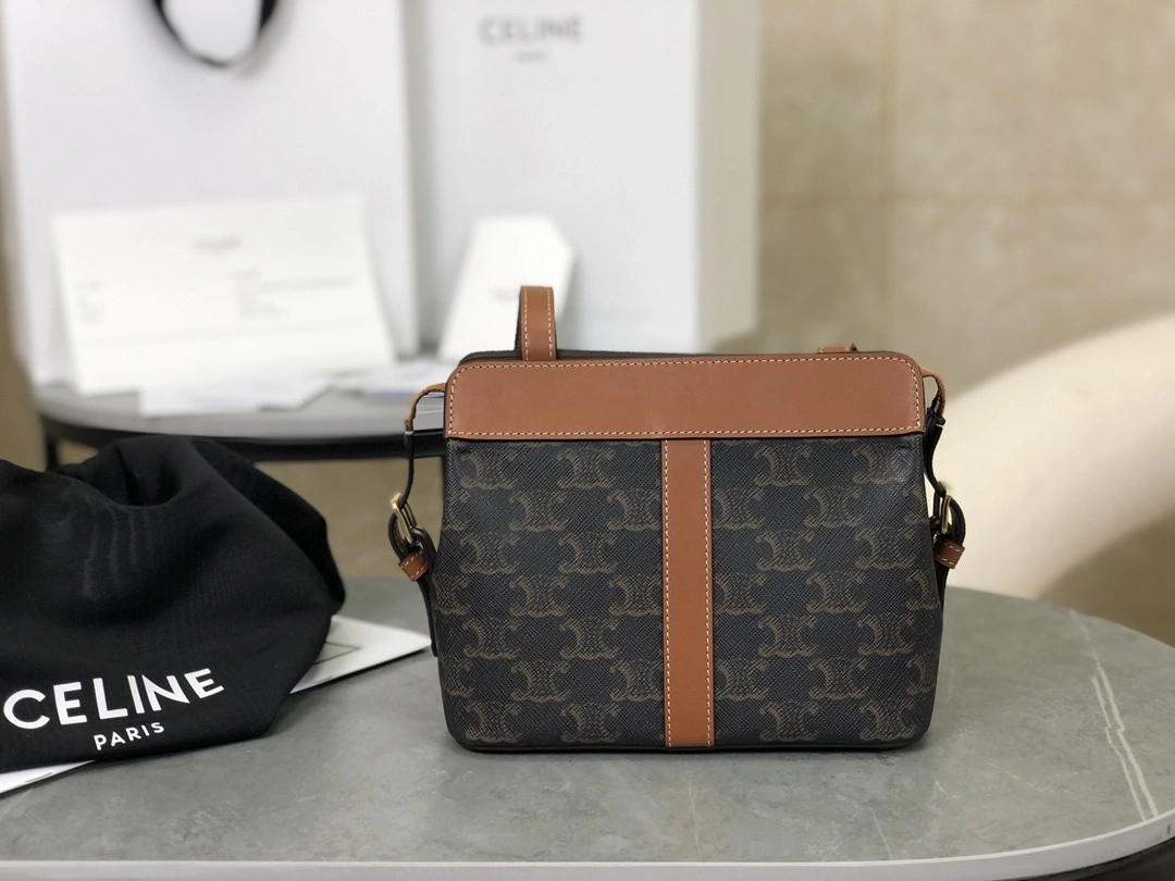 Reasonably priced Celine Satchel Bags