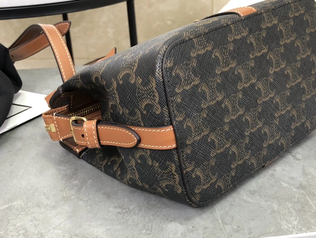 Reasonably priced Celine Satchel Bags