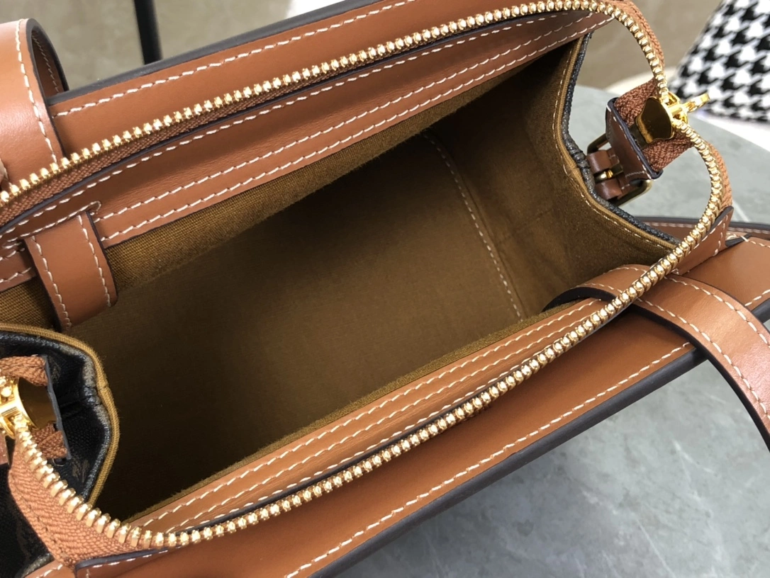 Reasonably priced Celine Satchel Bags