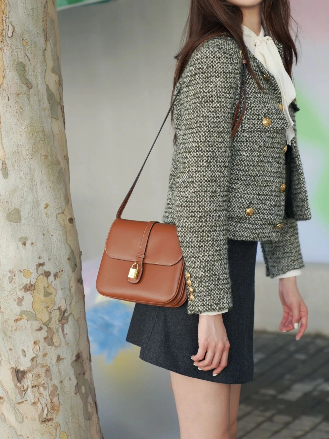 Real Celine Satchel Bags