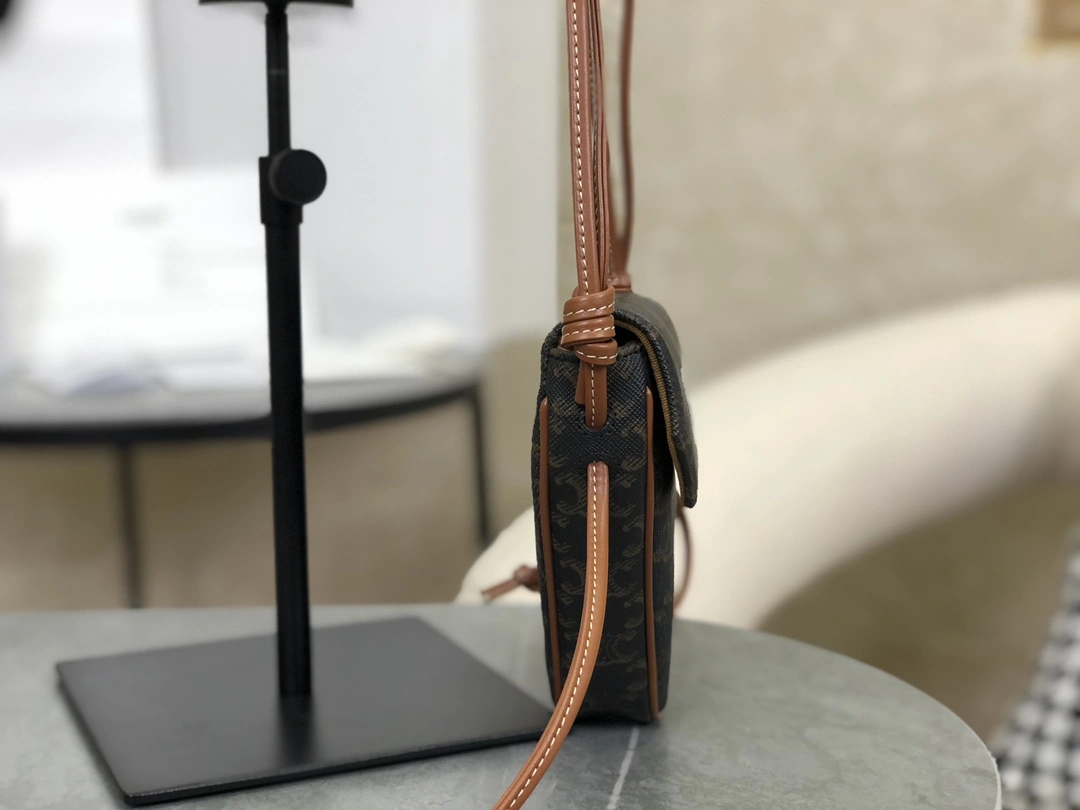 Reasonably priced Celine Satchel Bags