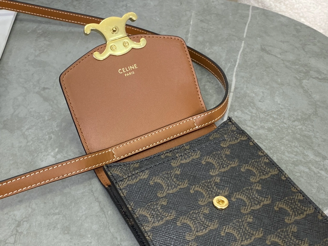 Genuine Celine Satchel Bags
