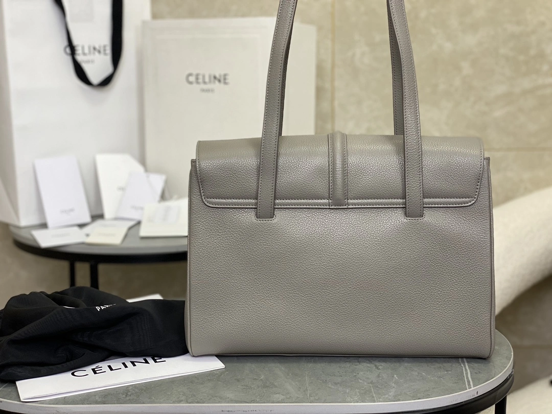 Real Celine Satchel Bags