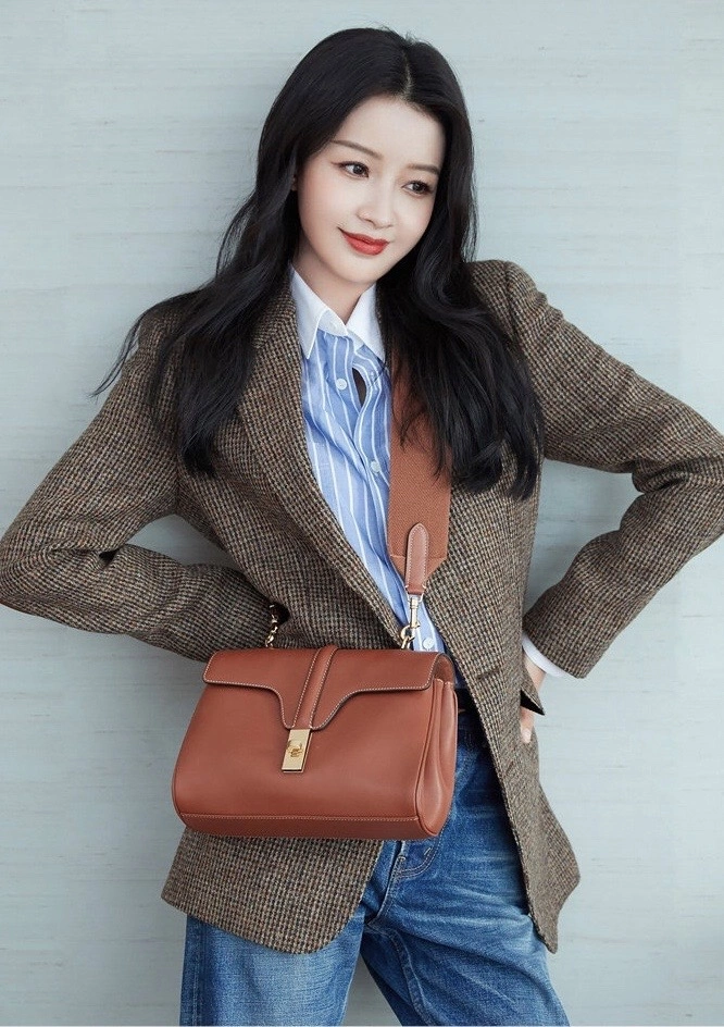 Cut-rate Celine Satchel Bags