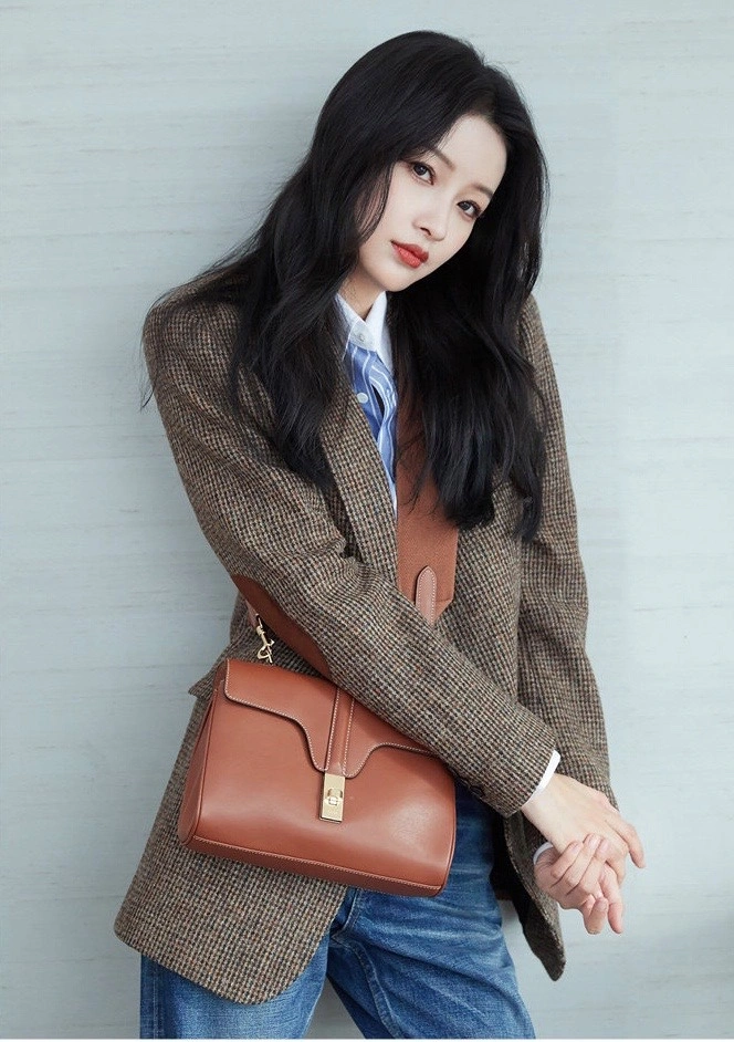 Cut-rate Celine Satchel Bags