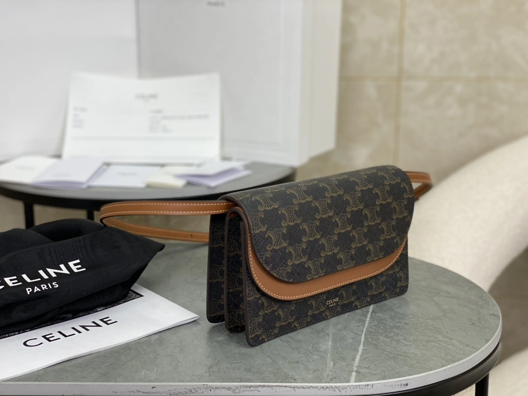 Value-priced Celine Satchel Bags