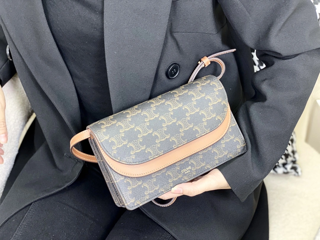Value-priced Celine Satchel Bags