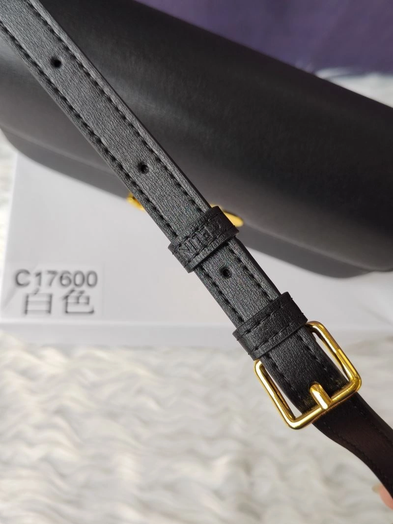Mirror quality Celine Satchel Bags