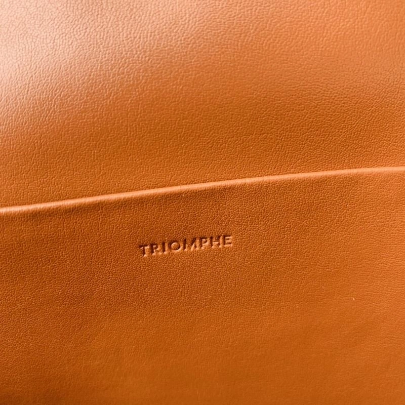Top mirror Celine Satchel Bags