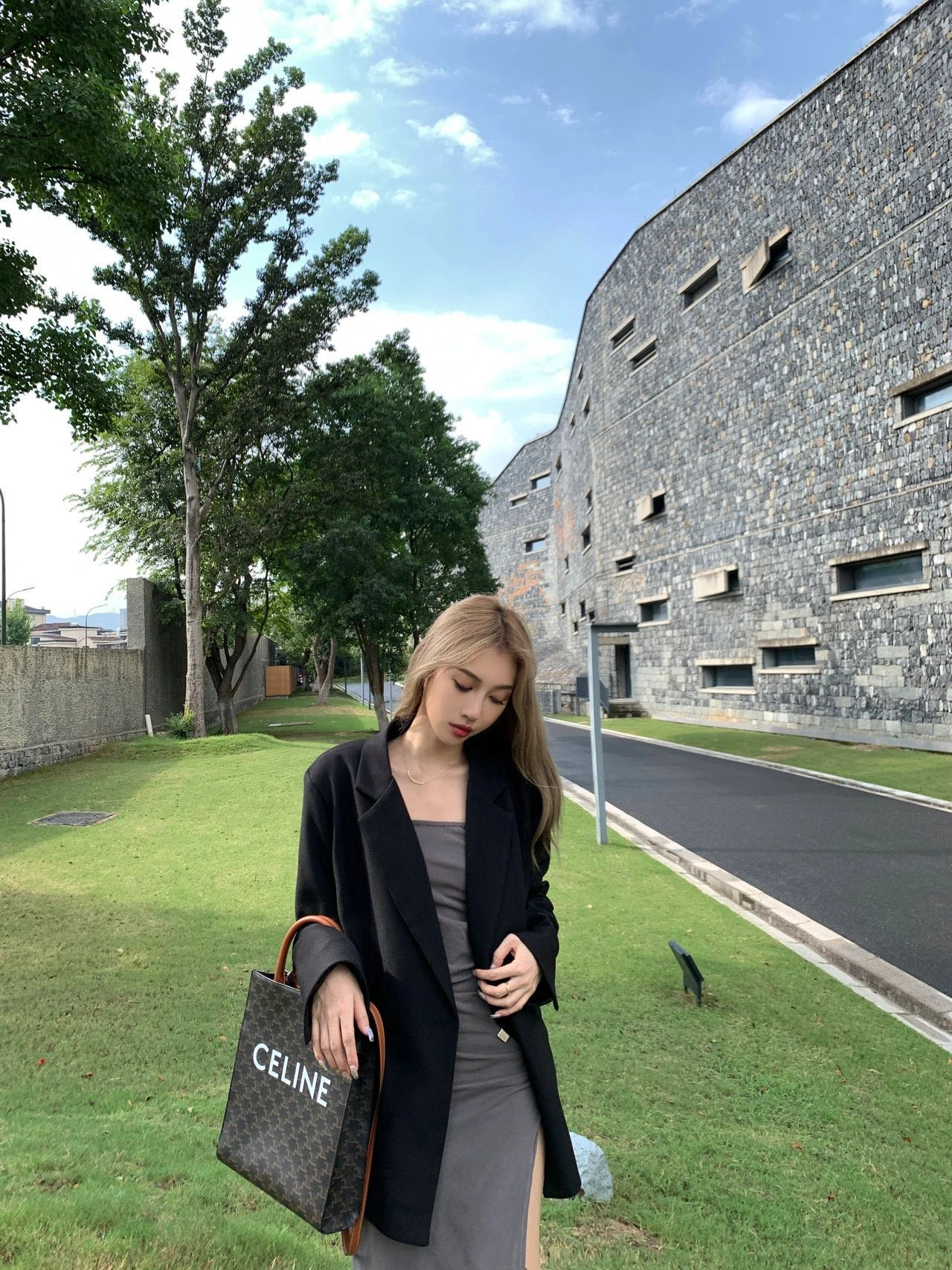 High fidelity Celine Shopping Bags
