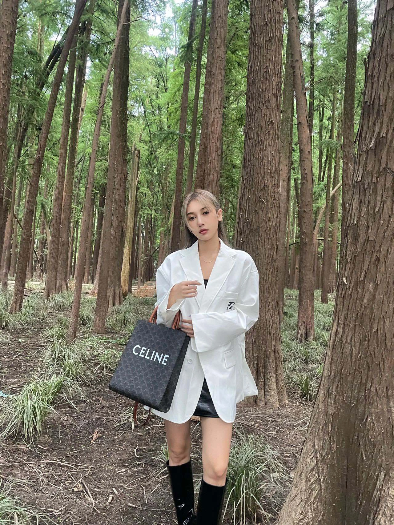 High fidelity Celine Shopping Bags