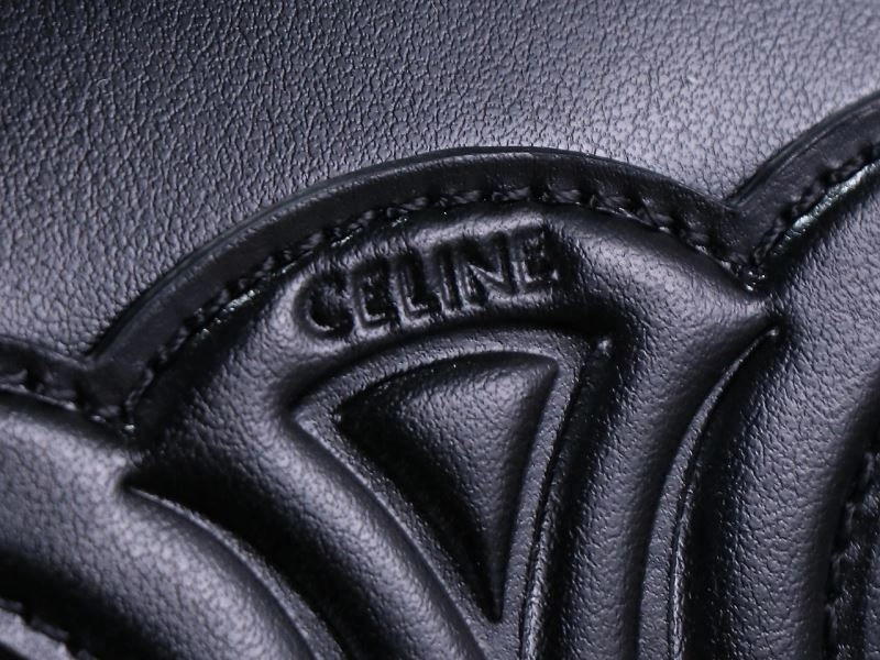 1:1 copy Celine Speedy Bags