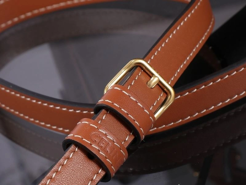 Real Celine Speedy Bags