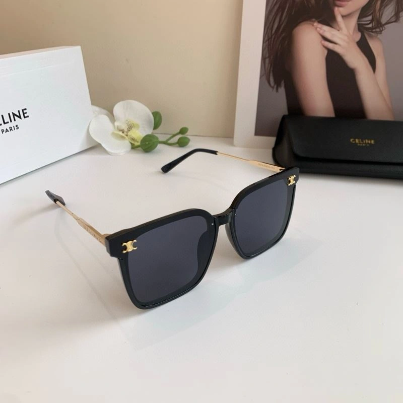 Top match Celine Sunglasses