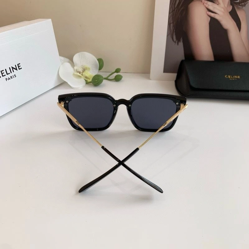 Top match Celine Sunglasses