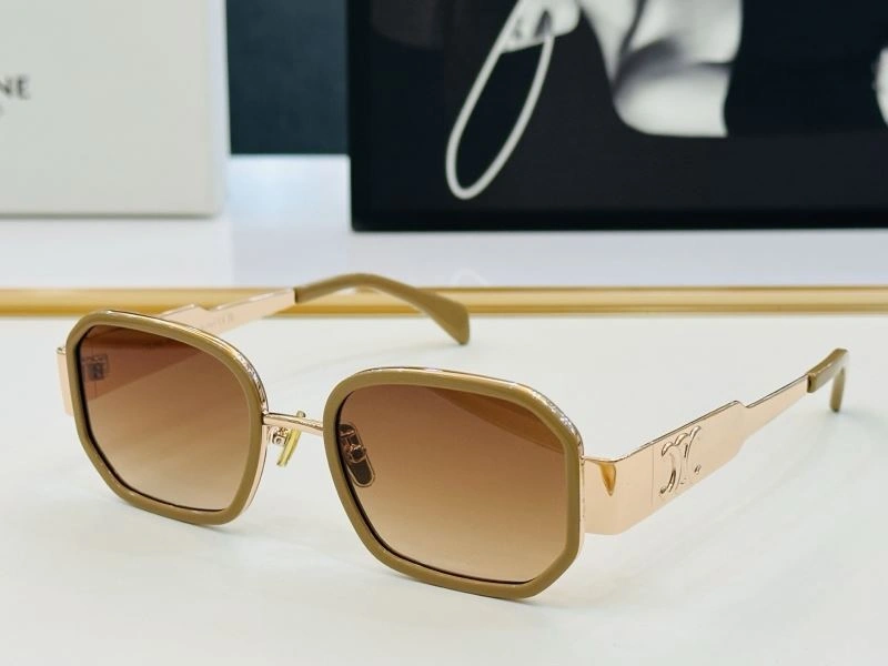 Mirror quality Celine Sunglasses