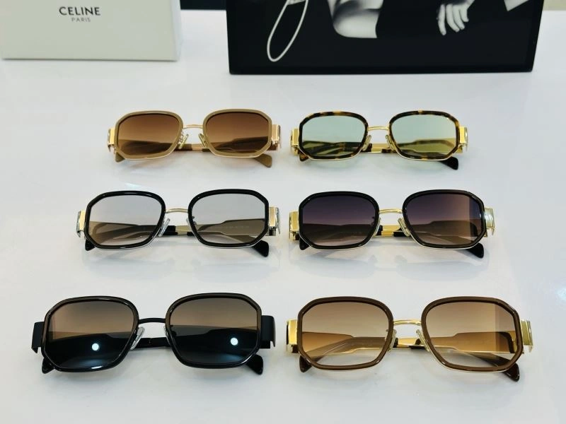 Mirror quality Celine Sunglasses