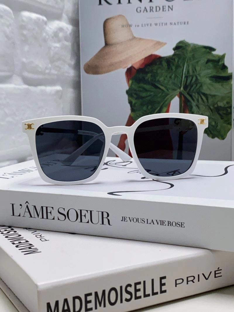 Low-cost Celine Sunglasses