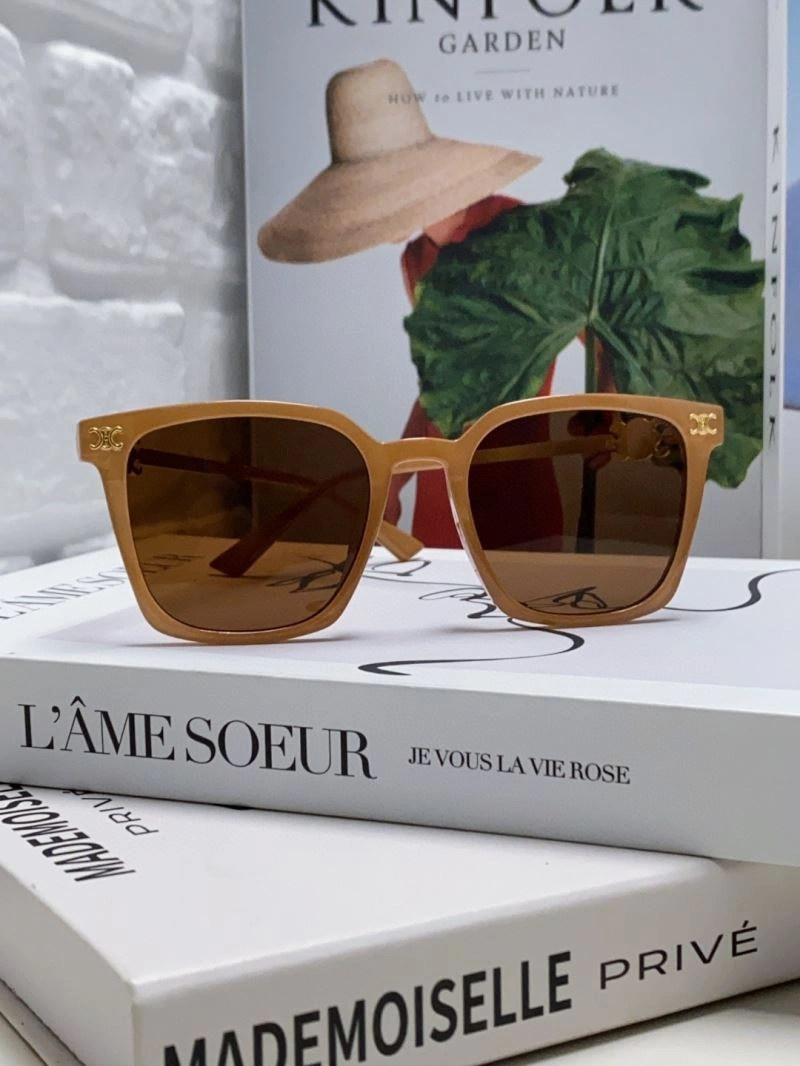 High accuracy Celine Sunglasses