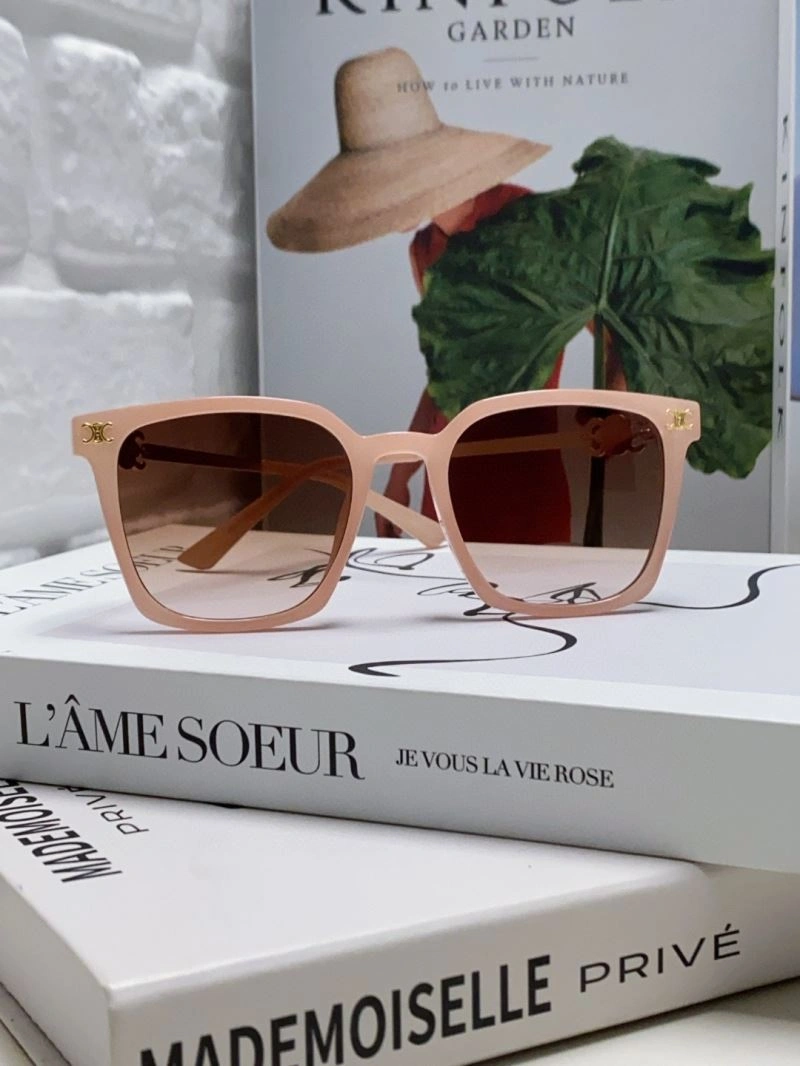 Indistinguishable Celine Sunglasses