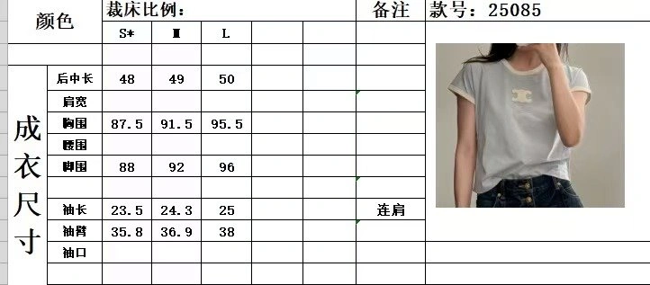 1:1 copy Celine T-Shirts