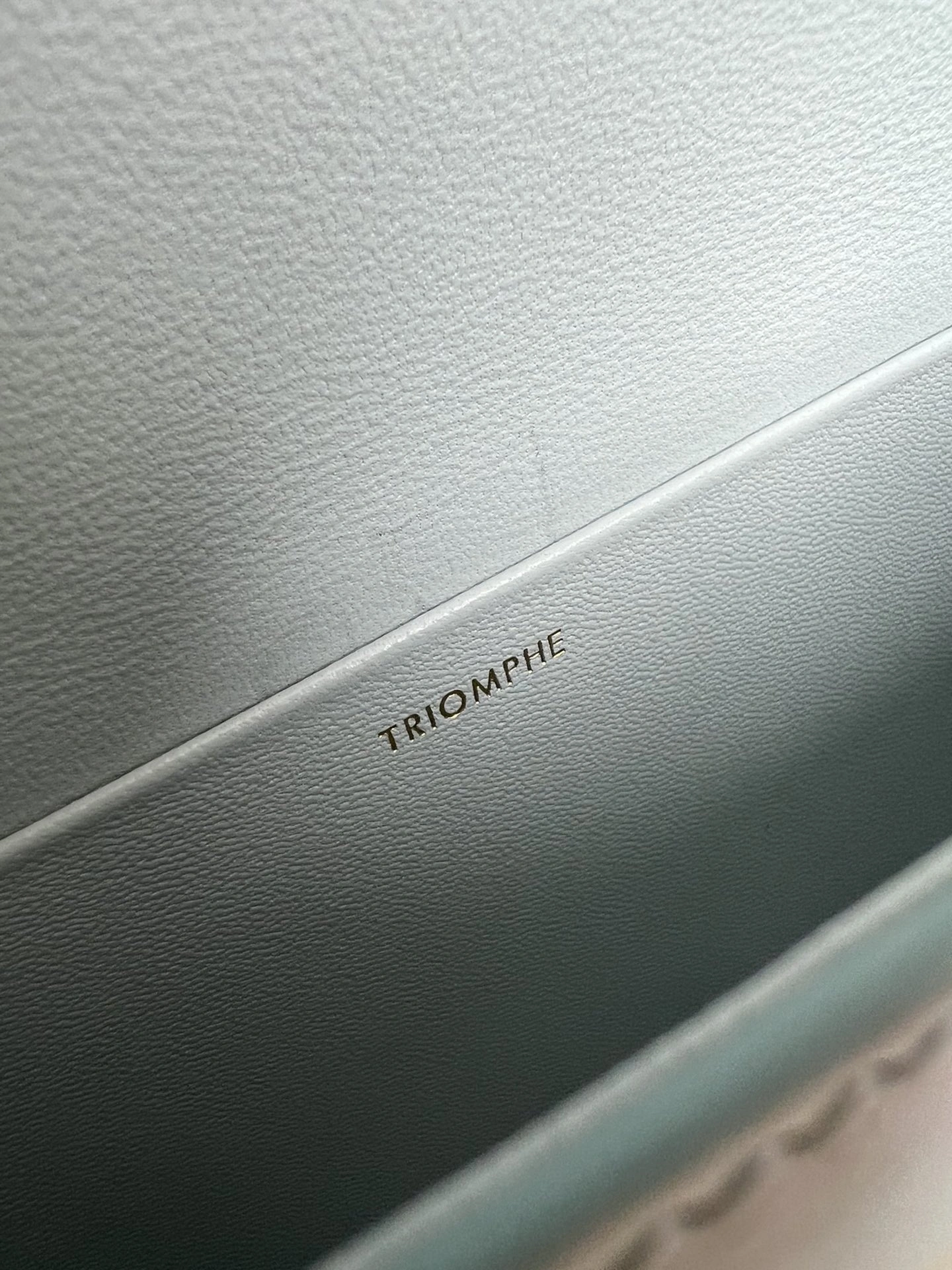 OEM Celine Triomphe Bags