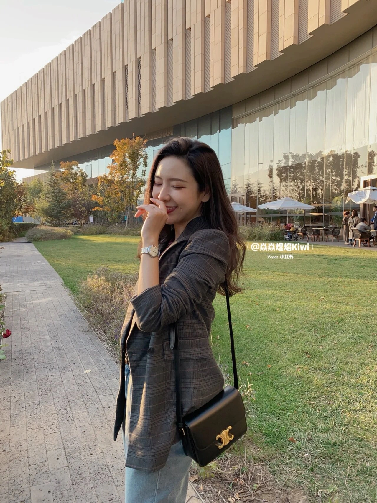 OEM Celine Triomphe Bags