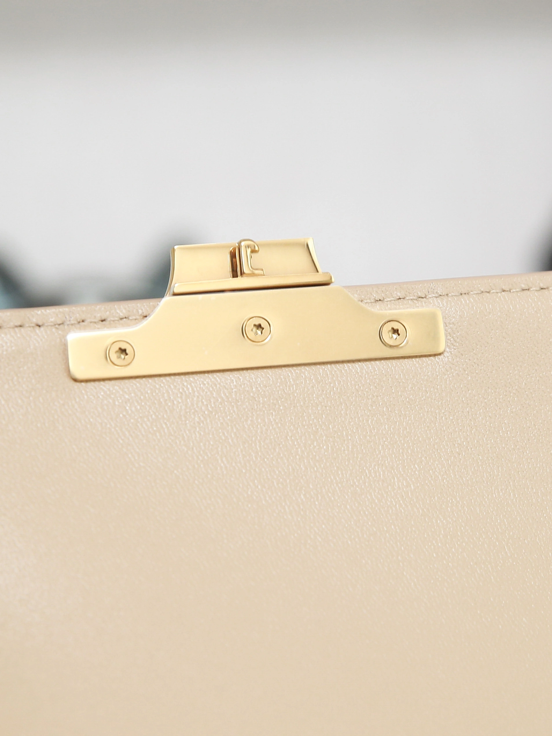 Real Celine Triomphe Bags