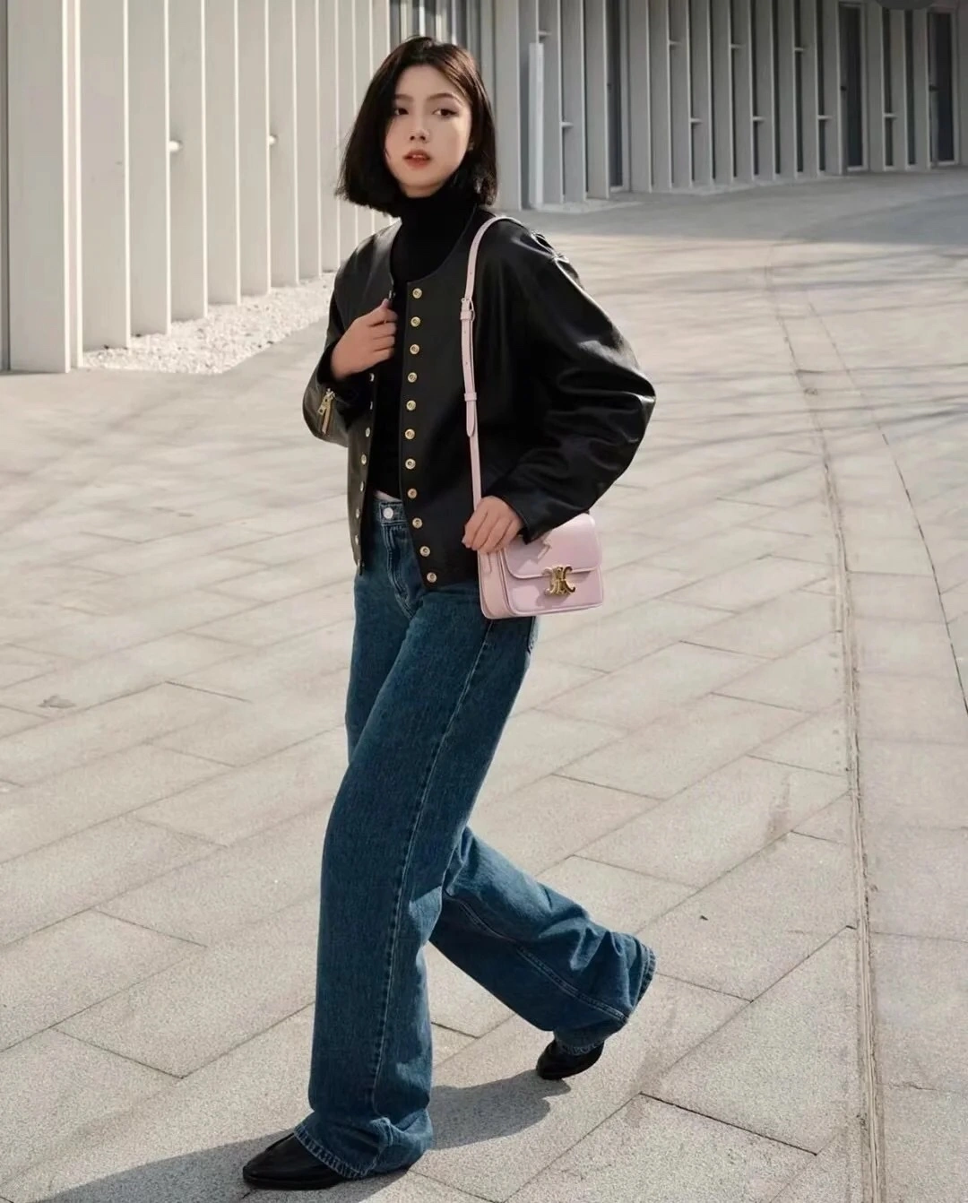 Real Celine Triomphe Bags