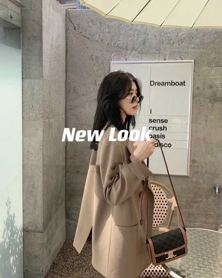 Genuine Celine Triomphe Bags