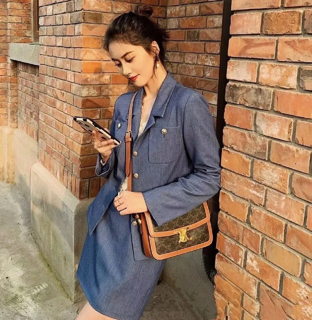 Genuine Celine Triomphe Bags