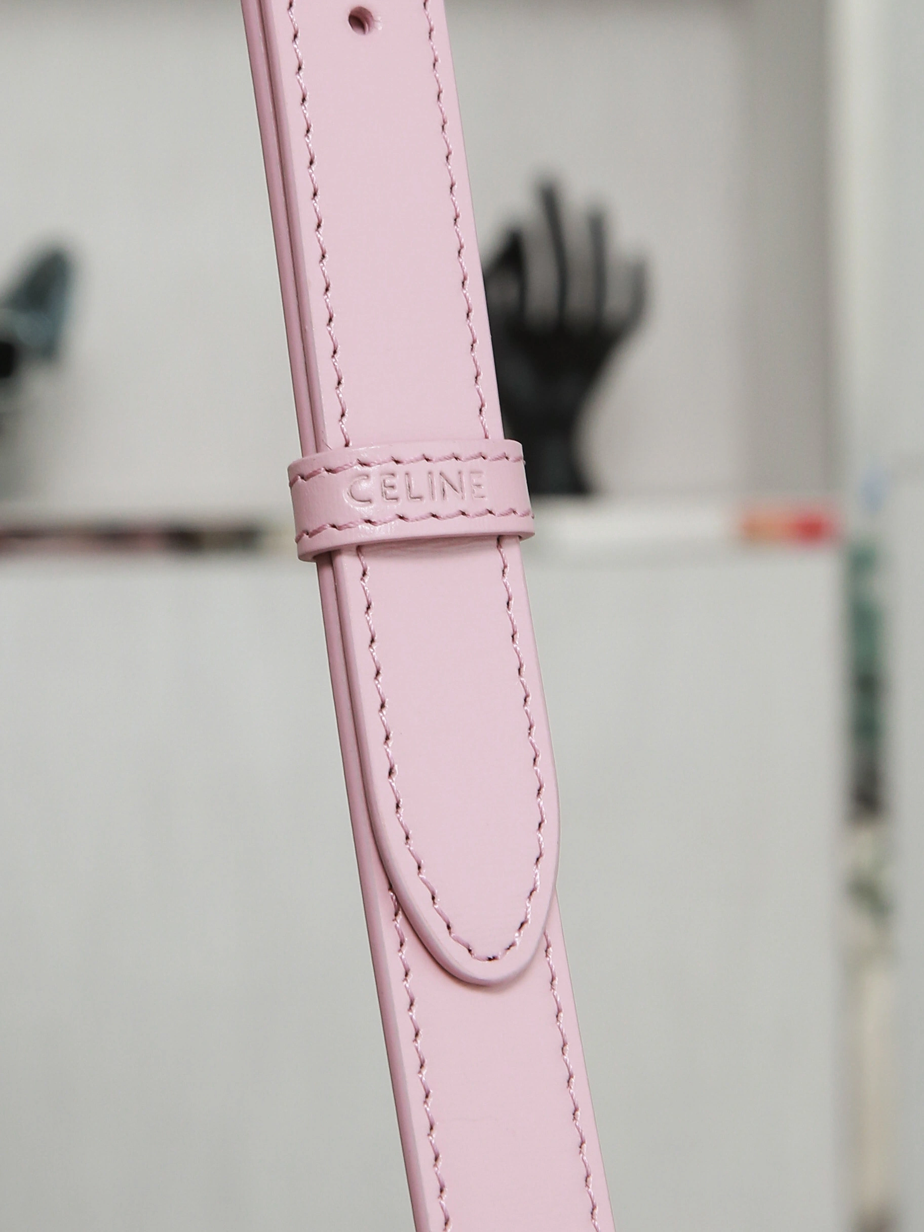 Reasonably priced Celine Triomphe Bags