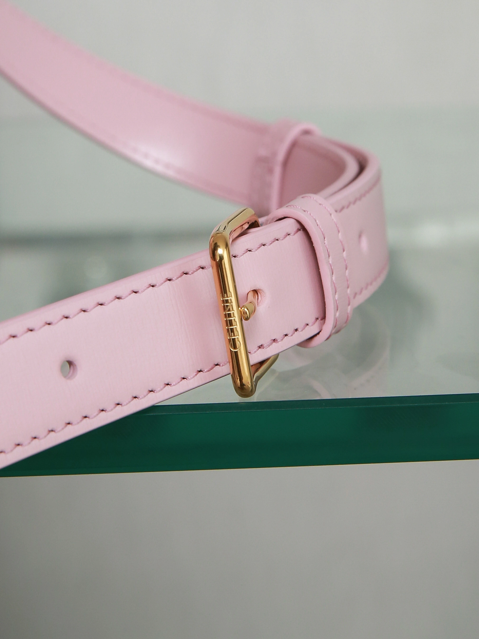 Reasonably priced Celine Triomphe Bags