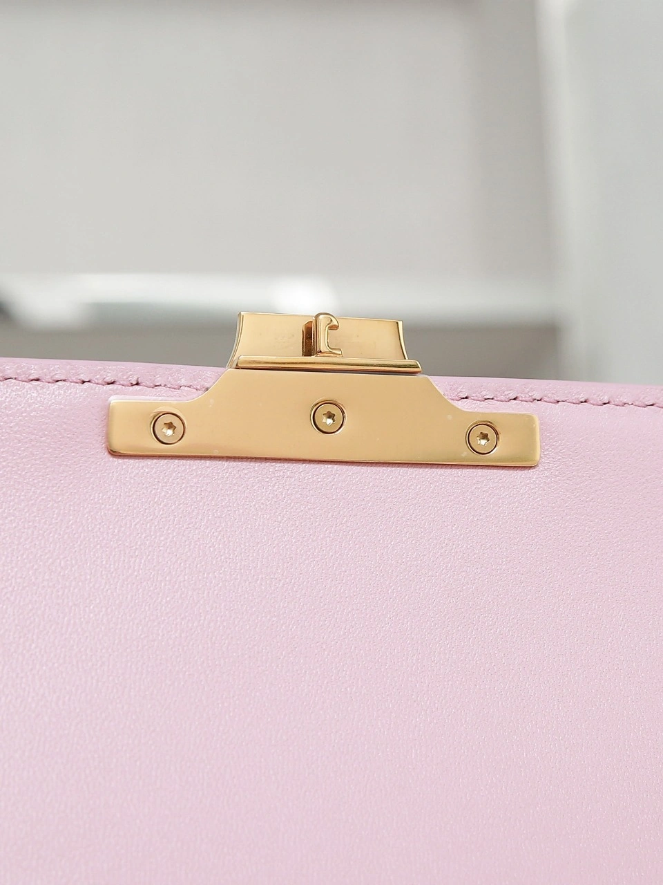 Reasonably priced Celine Triomphe Bags