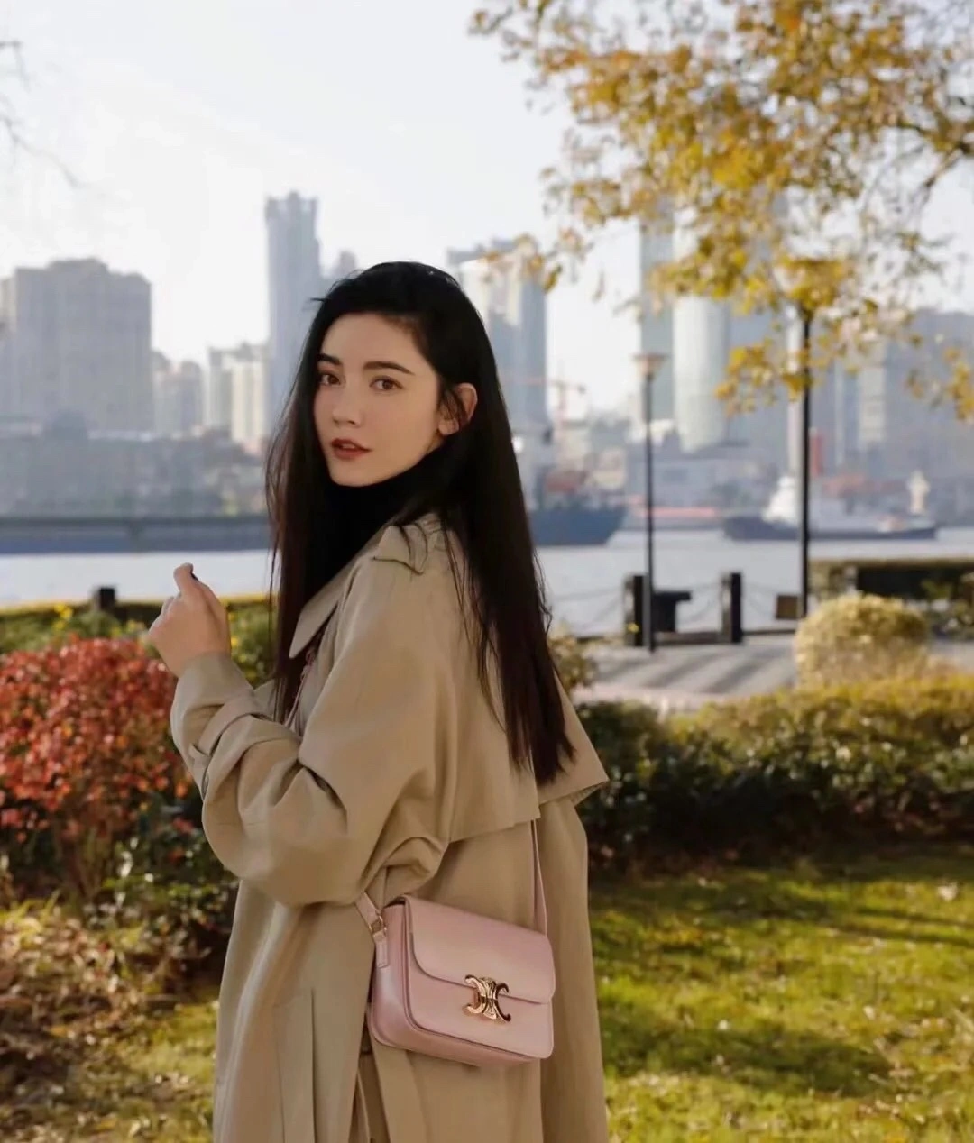 Reasonably priced Celine Triomphe Bags