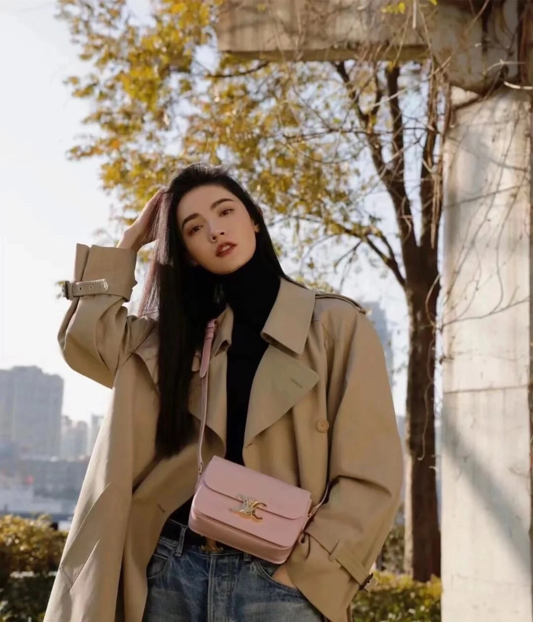 Reasonably priced Celine Triomphe Bags